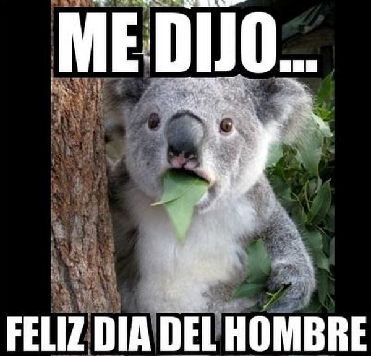 Imagenes Chistosas Para Hombres Dile Esto A Un Hombre Y Lo Vas A