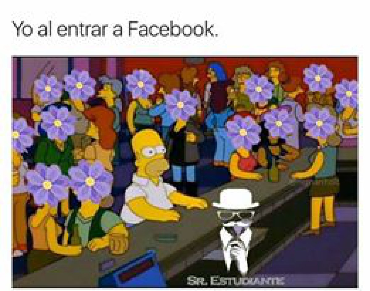 Memes Flor Morada Y Baila Lento Flor Morada 💔 Extraño La MSN Y La