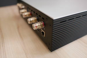 Rose RS201E: ein hochauflösender Audio- und Video-Netzwerk-Player mit ...