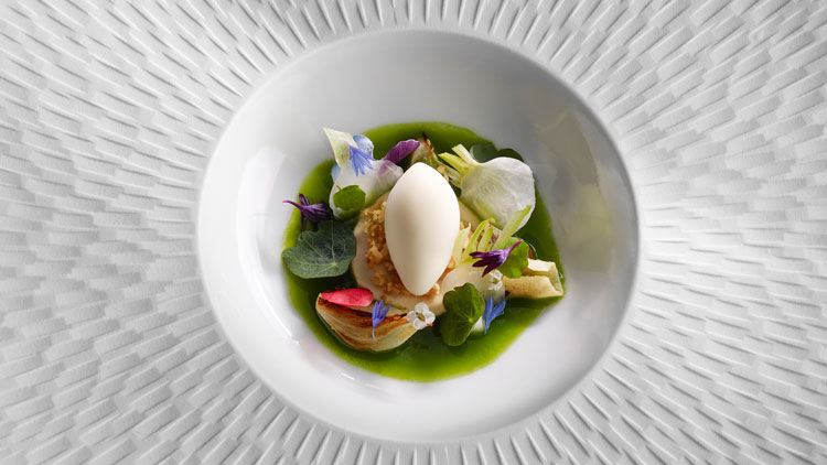 The fat duck store