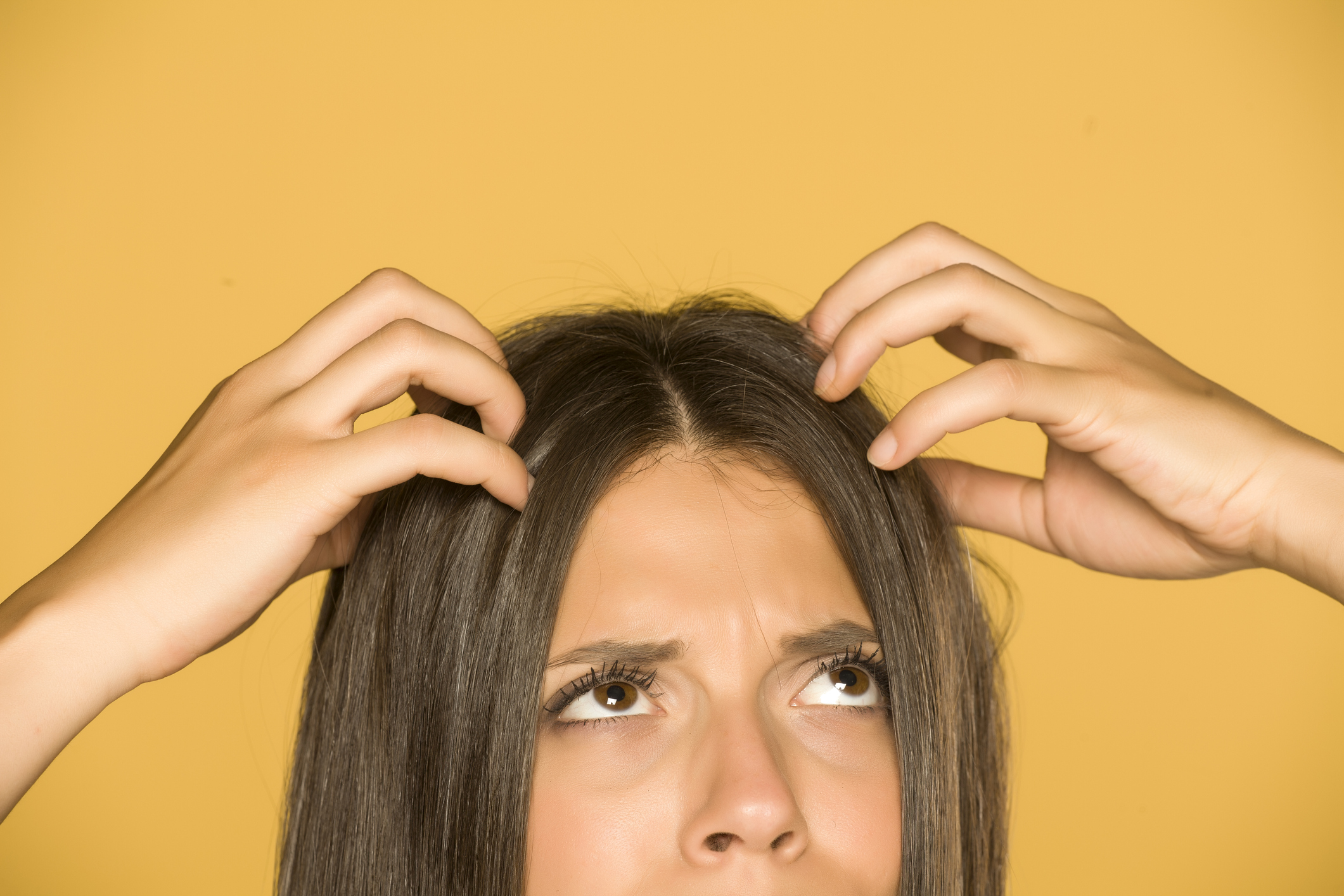 Desert Botanicals releases new propylene glycol free hair care line