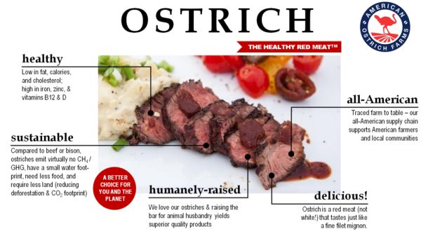 What Is Ostrich Meat And How Is It Used Ostrich Meat Recipes Cape